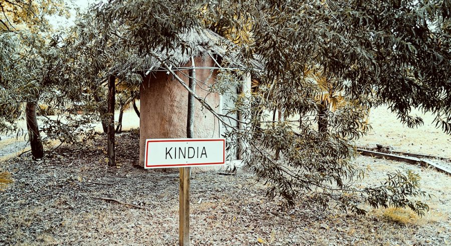 Viaje a Guinea Conakry (4) de (6). En Kindia